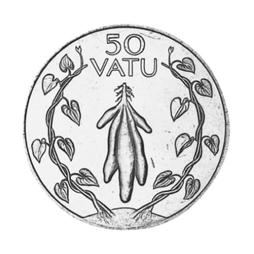 Kava Culture - Learn Kava Ceremonies - Kalm with Kava