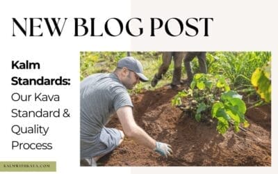 Kava First Time Experience: What to Expect | Kalm with Kava